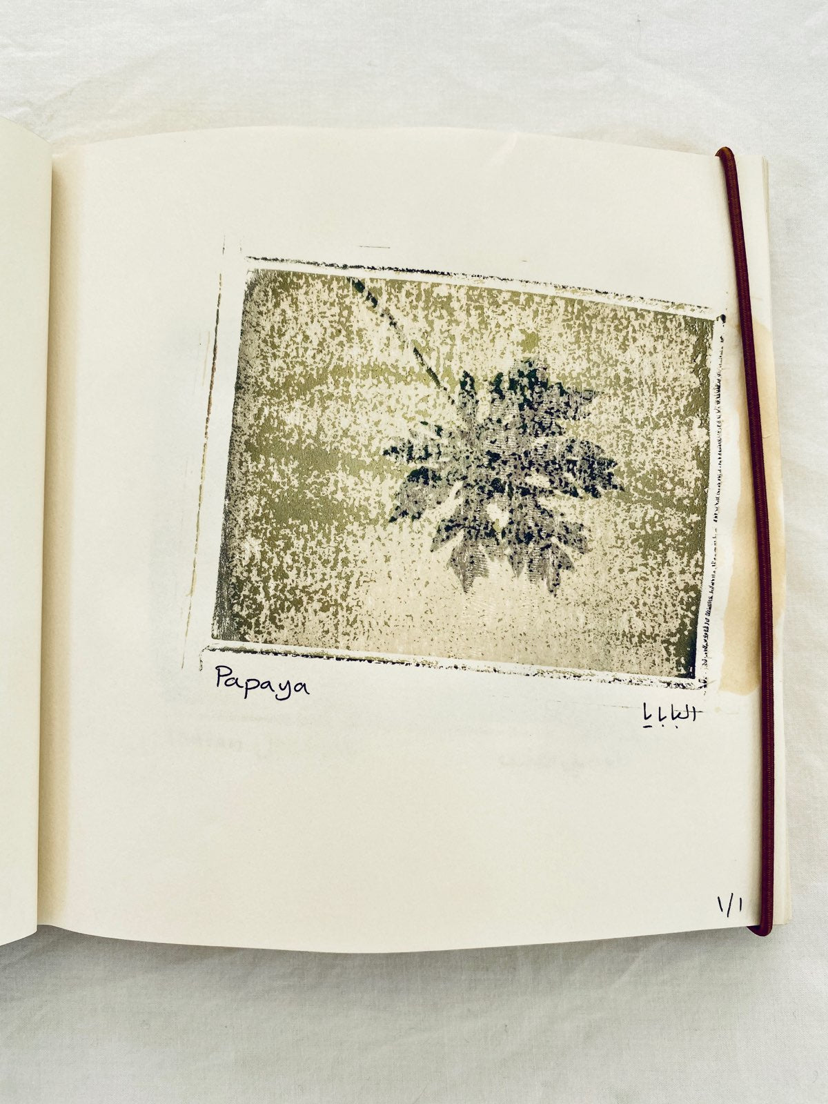 Mashrabiya Stories: Huda Abdulmughni – Zeri Crafts